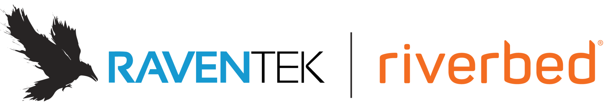 Designing Flexible, Secure Networks for Remote Work | RavenTek